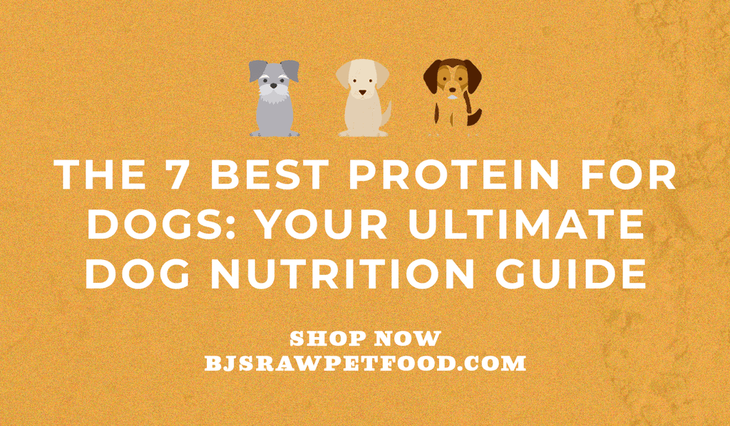 The 7 Best Proteins For Dogs: Your Ultimate Dog Nutrition Guide