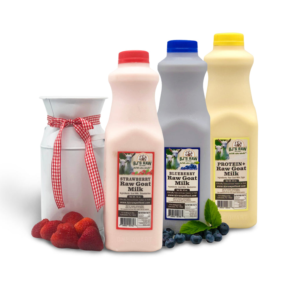 Blueberry, Strawberry & Protein+ Raw Goat Milk