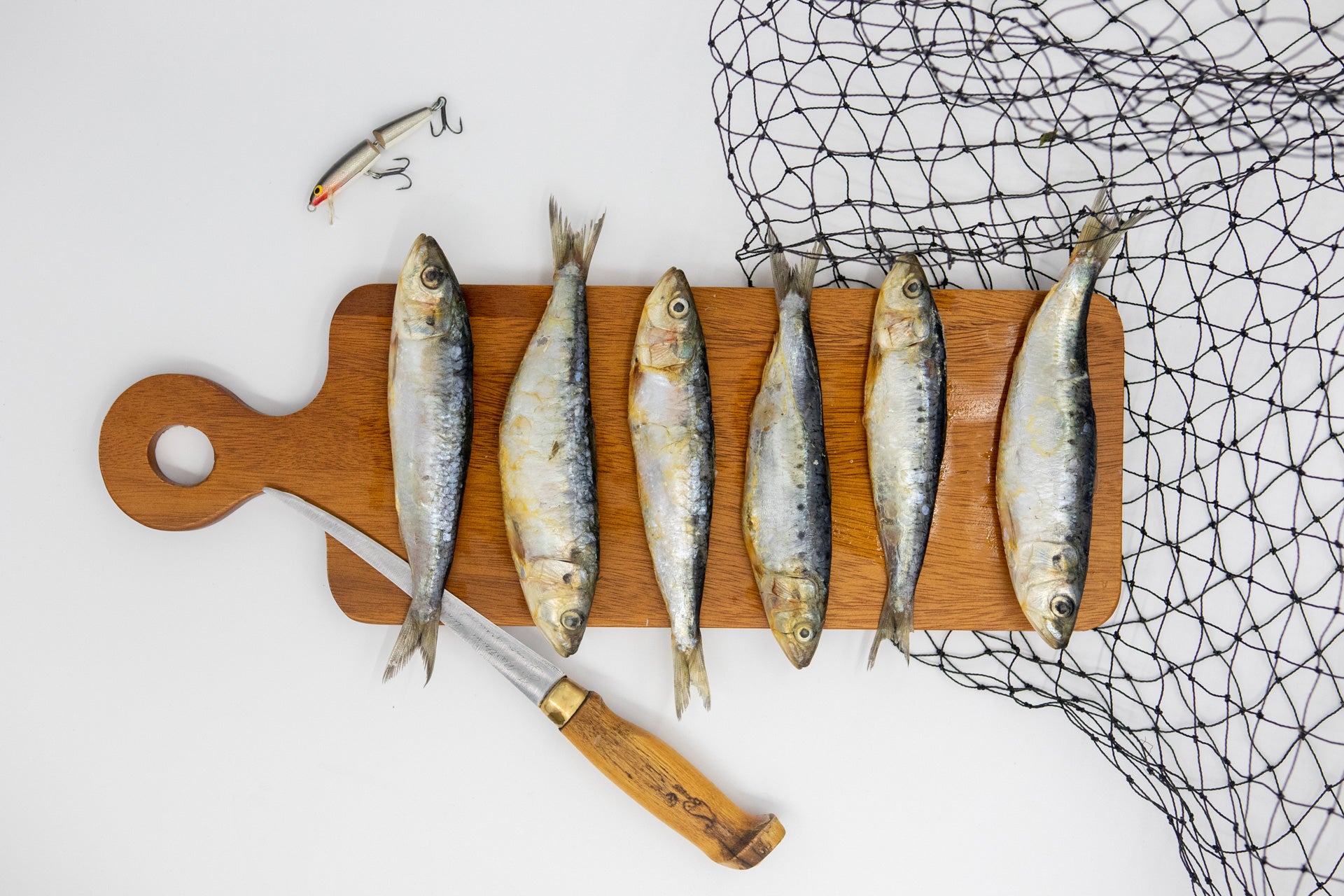 Organ Meats and Whole Prey - BJ's Raw Pet Food